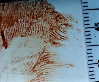 Bloody Scenes From: A to Z - Ridgeline Forensics